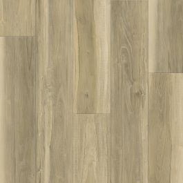 Shop Madrid - PANZU-17 Online PANZU-17